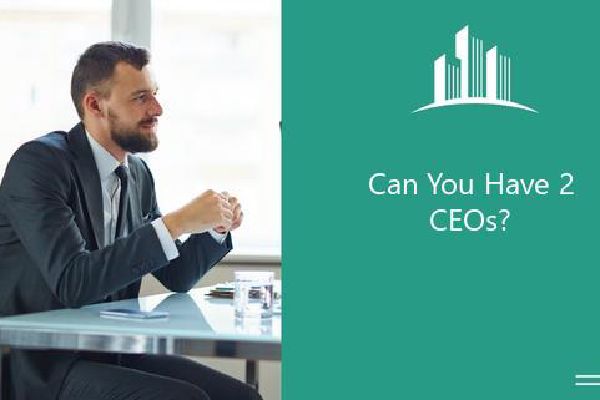 Can You Have 2 CEOs? | Melbado