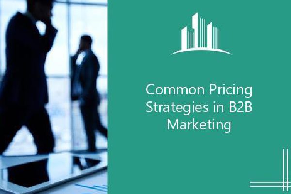 Common Pricing Strategies in B2B Marketing | Melbado
