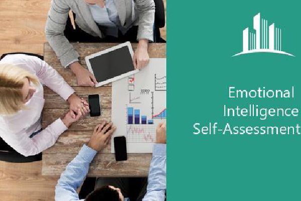 Emotional Intelligence Self-Assessment Test | Melbado