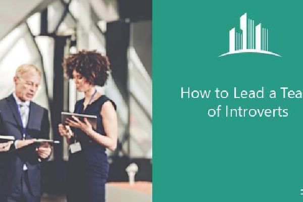 How to Lead a Team of Introverts | Melbado