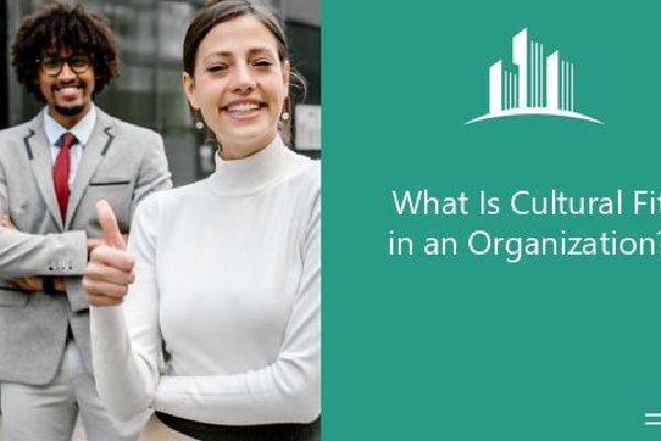 What Is Cultural Fit in an Organization? | Melbado