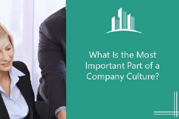 What Is the Most Important Part of a Company Culture? | Melbado