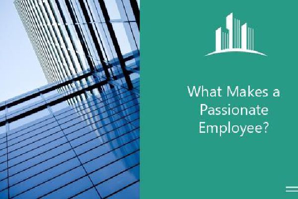 What Makes a Passionate Employee? | Melbado