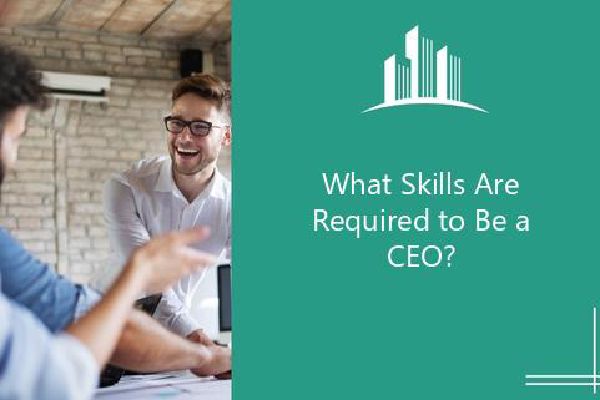 What Skills Are Required to Be a CEO? | Melbado